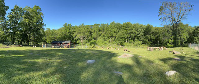 We invite you to The Stoned Goat Farm for an amazing goat experience!