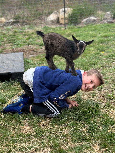 We invite you to The Stoned Goat Farm for an amazing goat experience!