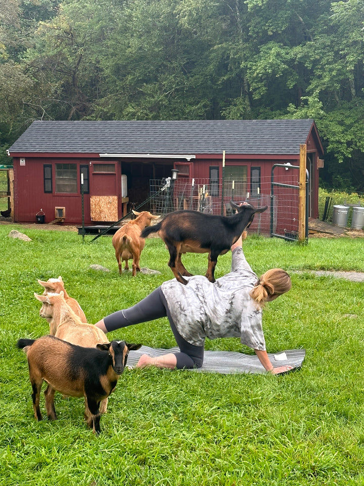 We invite you to The Stoned Goat Farm for an amazing goat experience!